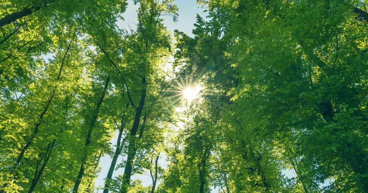 Drive for results | Stanwick